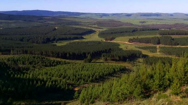 Stutterheim High School MTB & Trail Run | Bike Hub