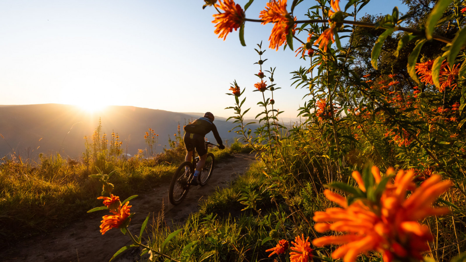 KAP sani2c nonstop | Bike Hub