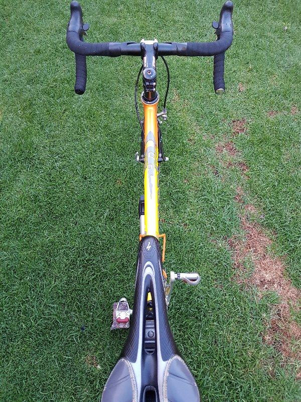 Bianchi Sl3 Reparto Corse 56cm | Bike Hub