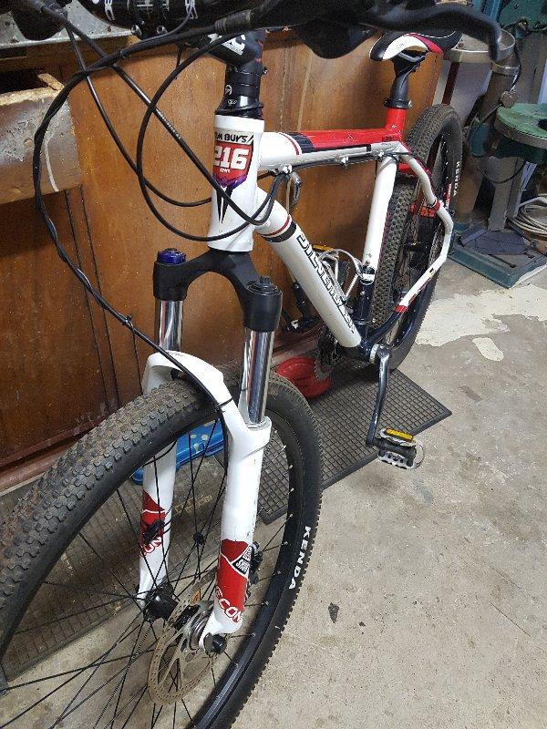 Silverback Alpine 1, Frame - Large (19" ), Wheel Si | Hardtail Mountain ...