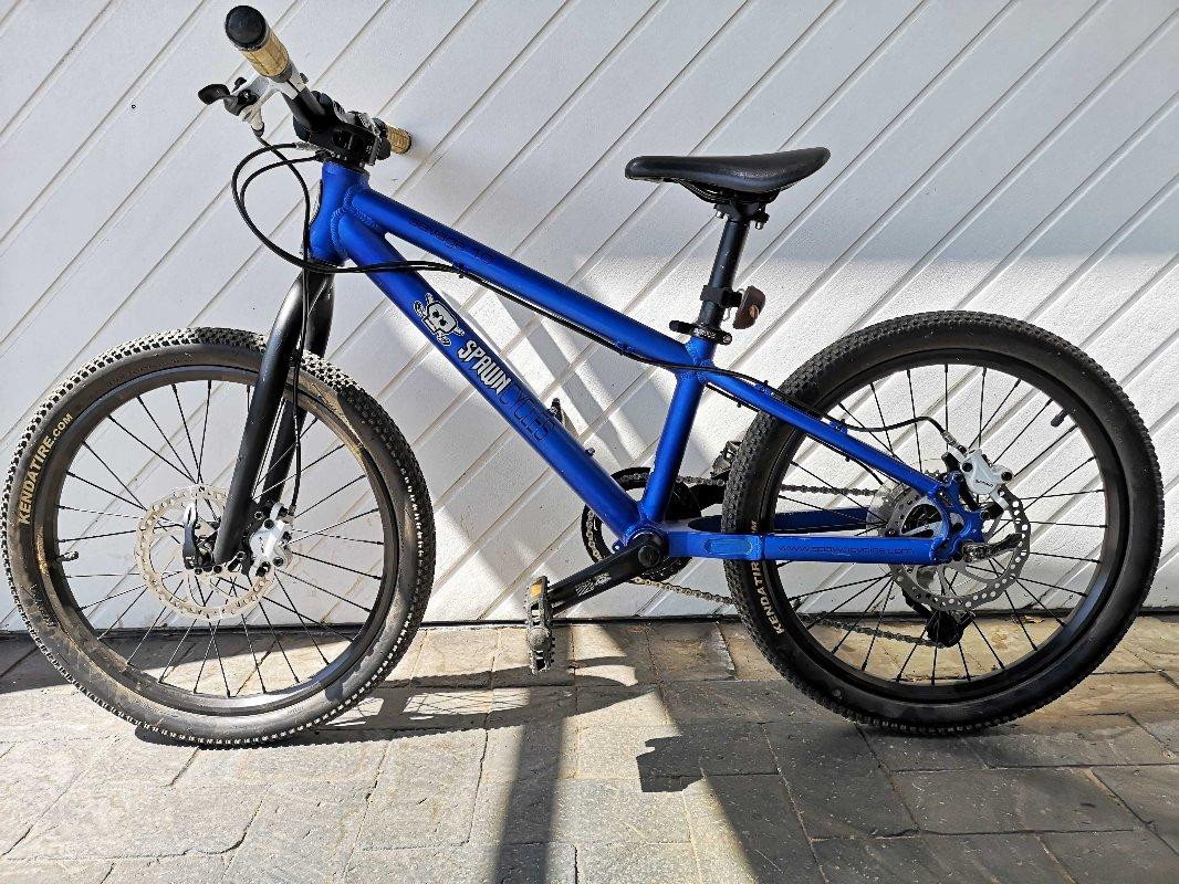 Spawn Savage 1.0 Ultralight 20" Mtb | Kids Bikes | Bike Hub