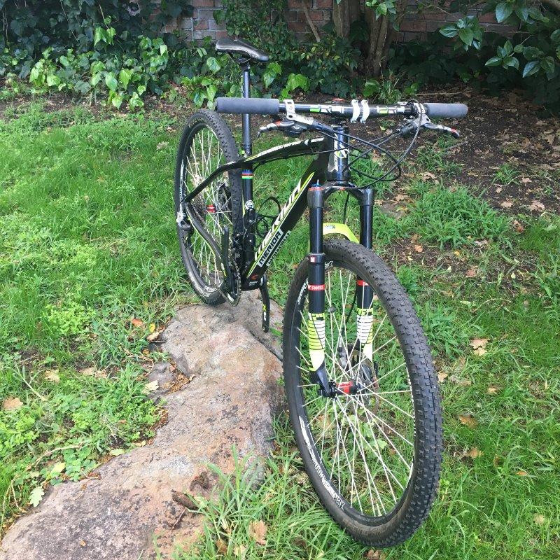 Merida BIG.NINE Carbon Pro Team Edition 29" | Bike Hub