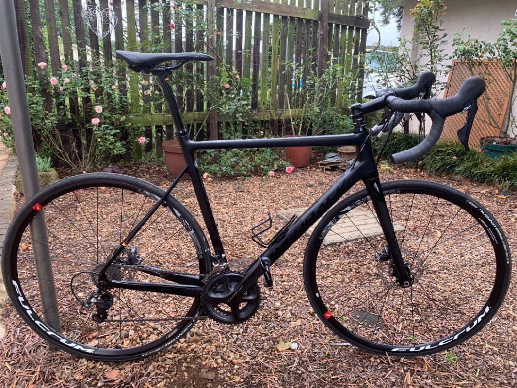 Silverback Sirelli Disc | Road Bikes | Bike Hub