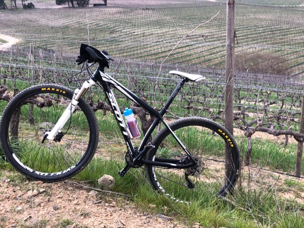 Scott Scale 960 | Hardtail Mountain Bikes | Bike Hub