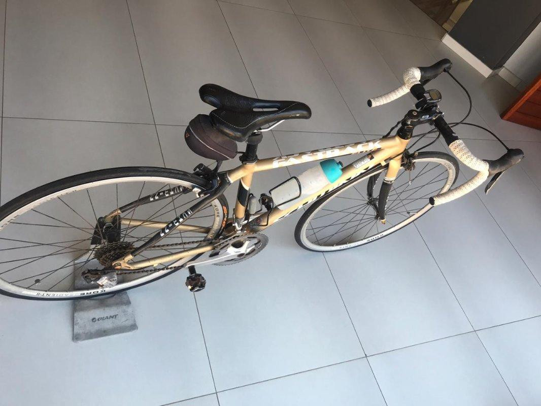 Schwinn Fastback Elite Bicycle 10 Speed Groupo | Road Bikes | Bike Hub