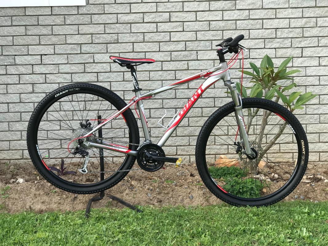 Giant revel vintage 29er Hardtail Mountain