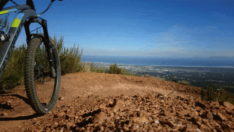 2018 Silverback Surface With Corse Carbon Wheels | Bike Hub