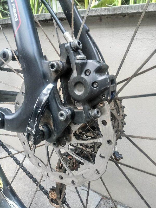 Focus First - Carbon Dual Suspension Mountain Bike | Bike Hub