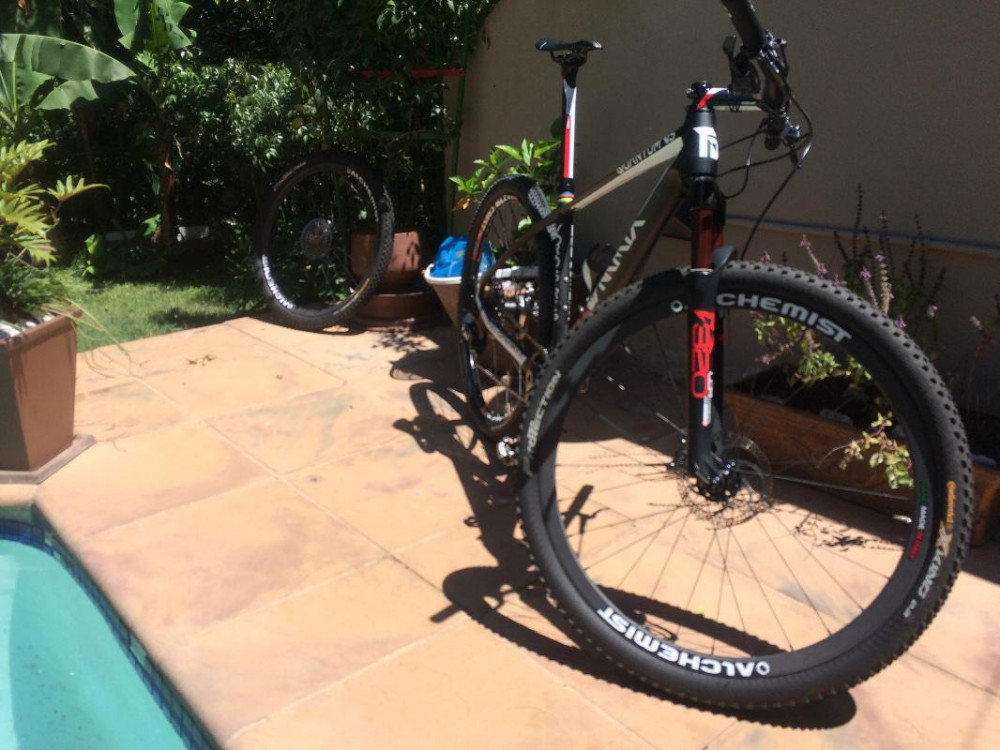 Full Dynamix Carbon 29er Hardtail Negotiable | Bike Hub