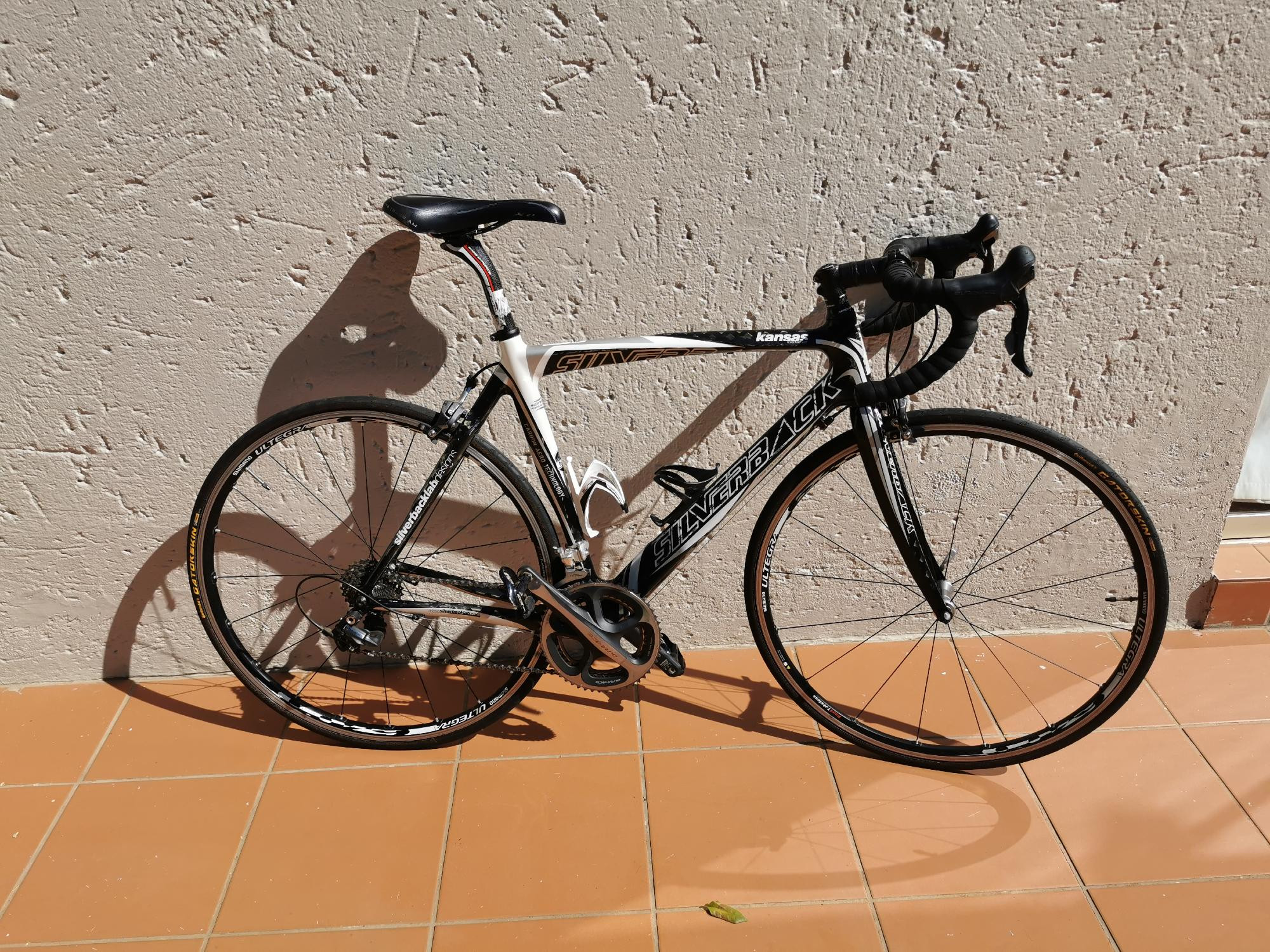 Silverback Kansas Series Full Carbon Fiber | Road Bikes | Bike Hub