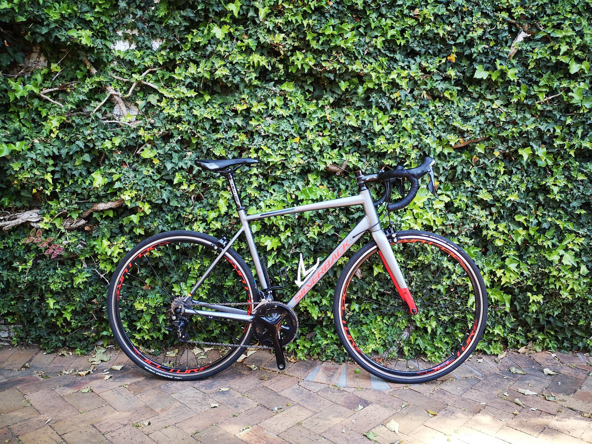 Silverback Strela Elite | Road Bikes | Bike Hub