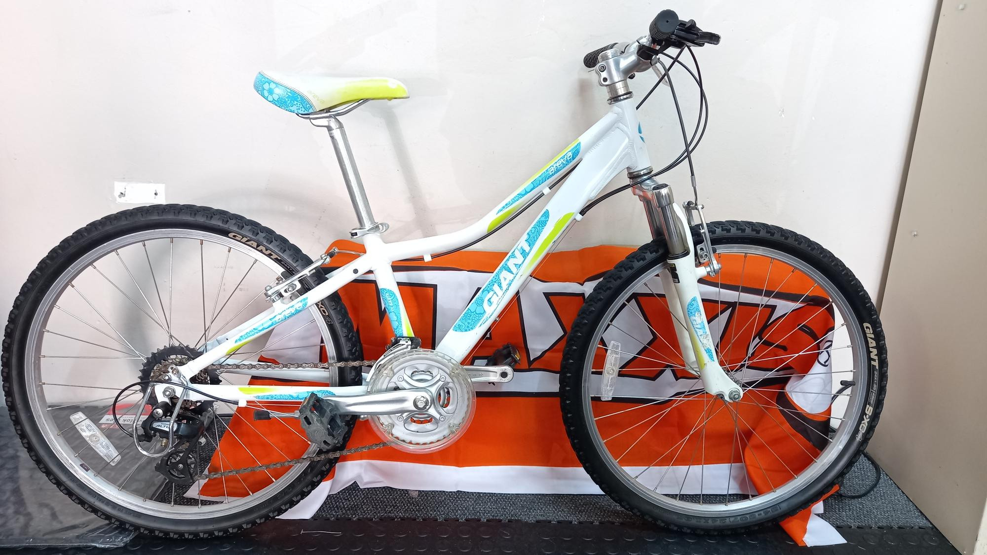 Giant Reva | Hardtail Mountain Bikes | Bike Hub