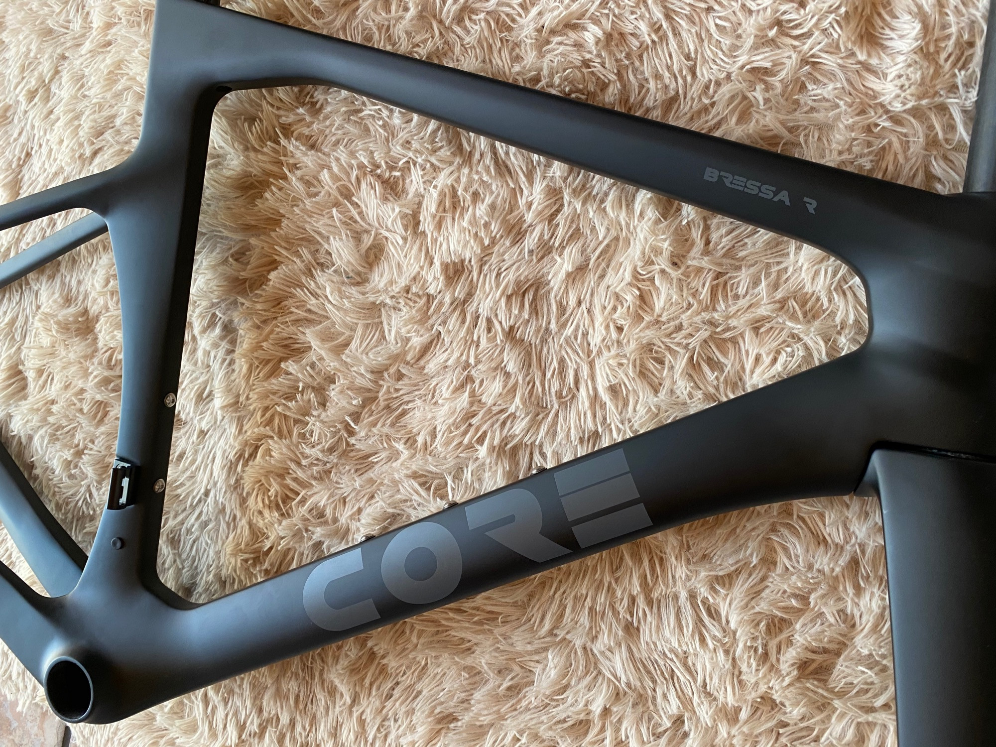 CORE Bressa R Disc Frame price drop | Road Bike Frames | Bike Hub