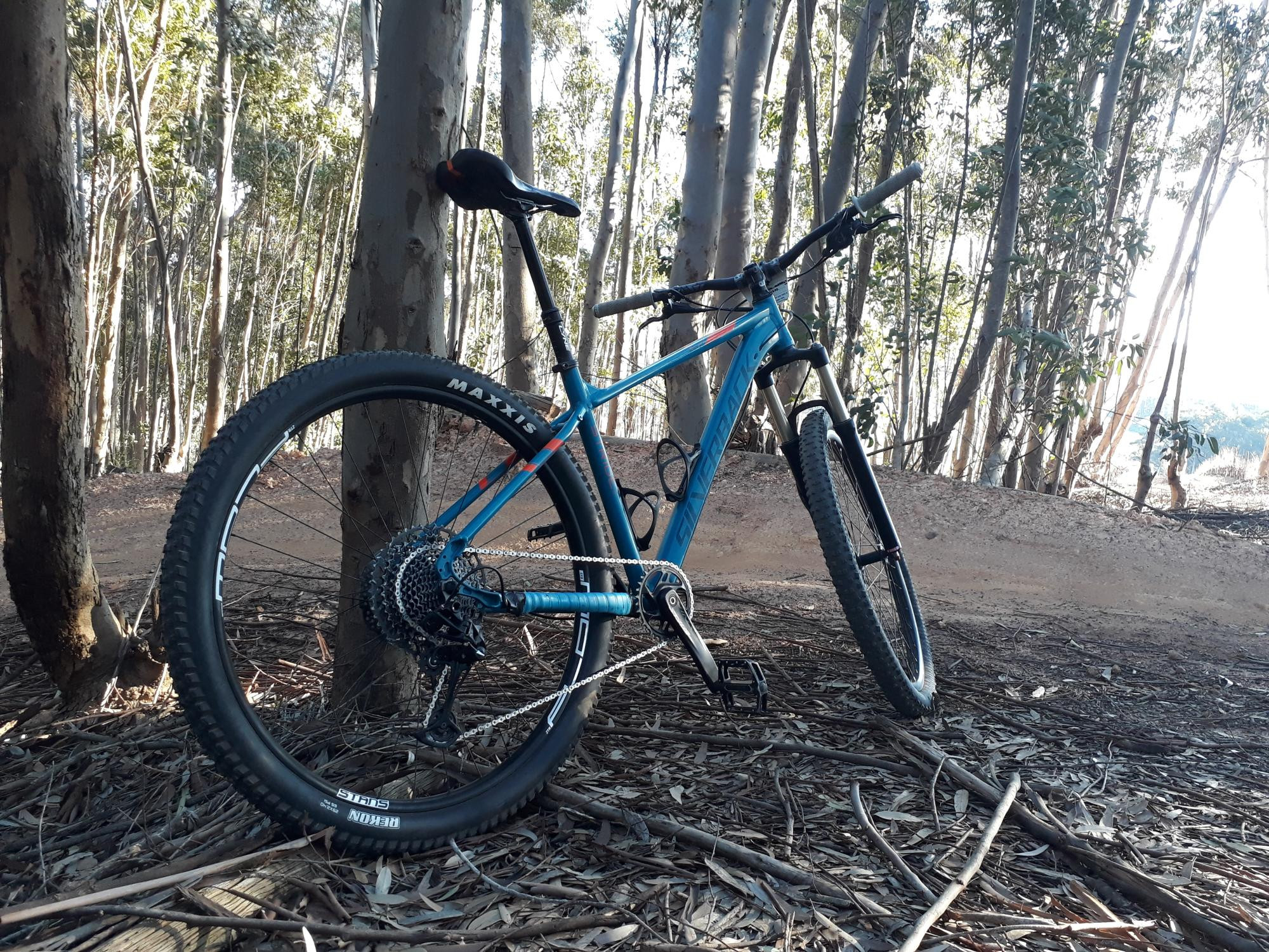 Silverback Aggressive Hardtail | Hardtail Mountain Bikes | Bike Hub