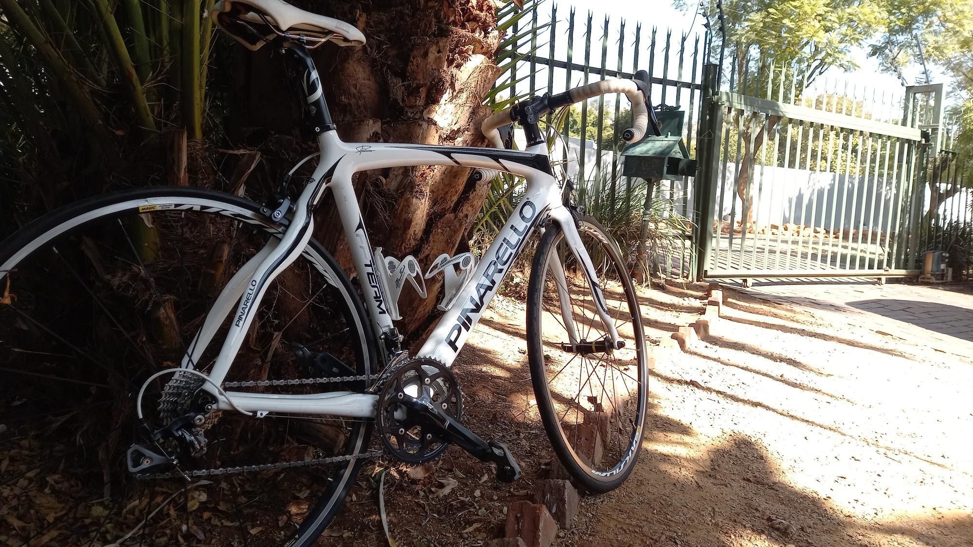 White Pinarello for Sale | Road Bikes | Bike Hub
