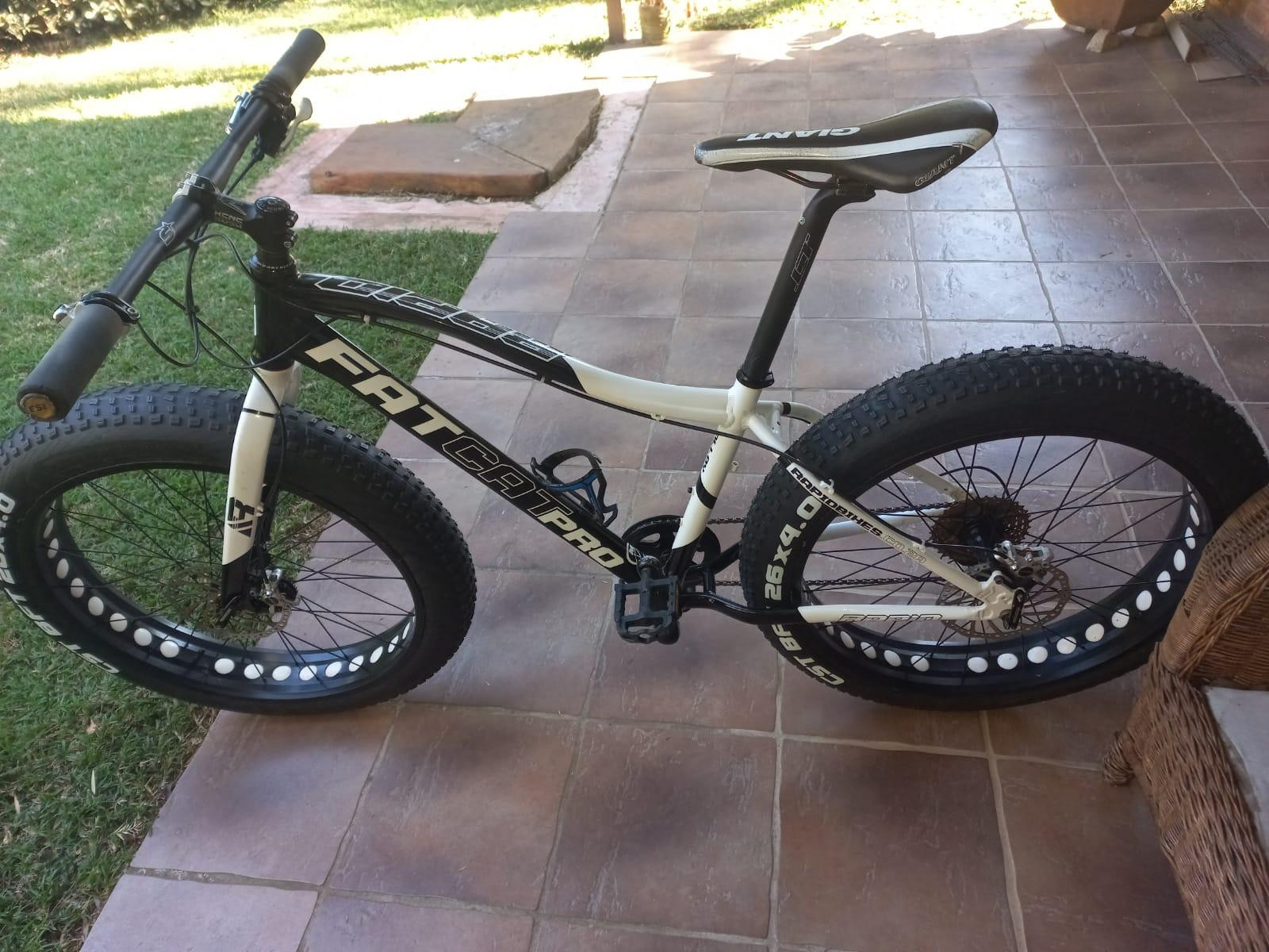 Fat Cat Pro | Fat Bikes | Bike Hub