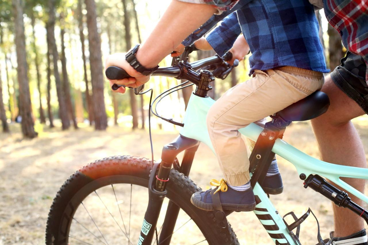 Front Row Kids Ride-Along Bike Seat | Kids Seats & Carriers | Bike Hub