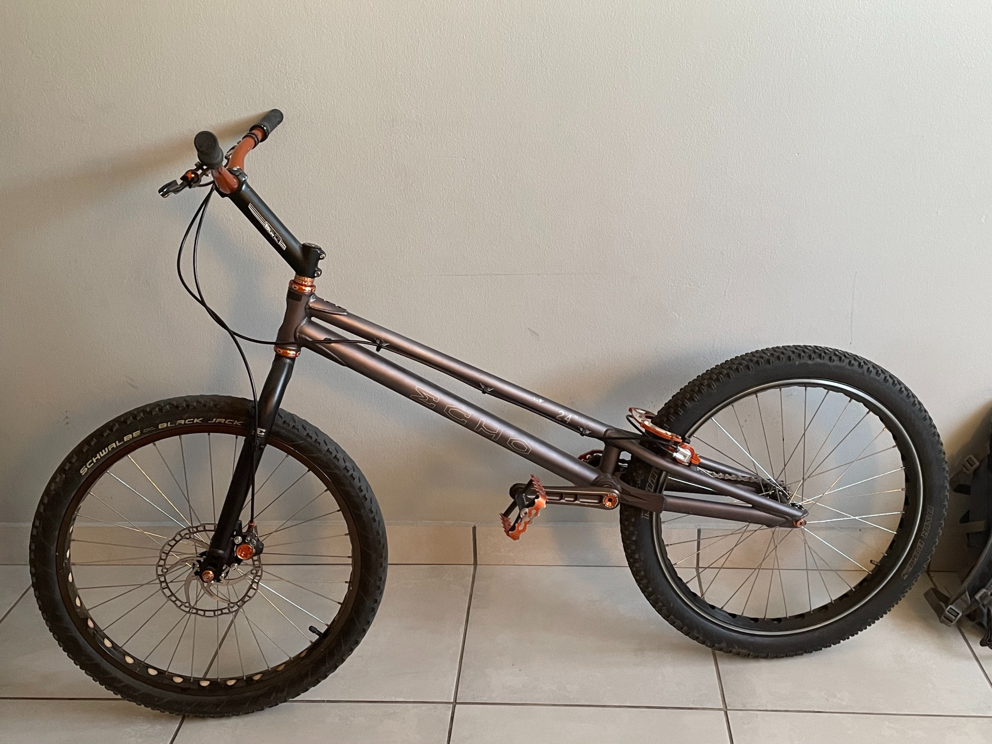 24" Echo trials bike | Single Speed Bikes | Bike Hub