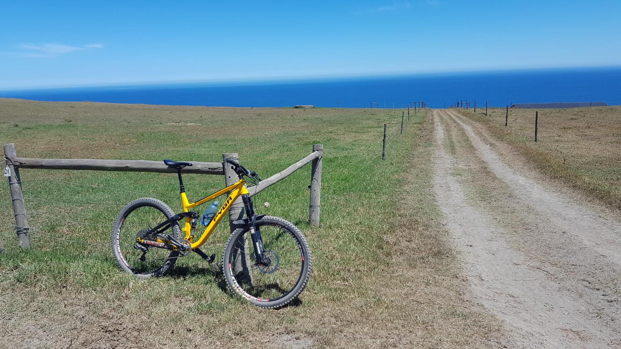 Pyga Pascoe 140 - Medium | Dual Suspension Mountain Bikes | Bike Hub