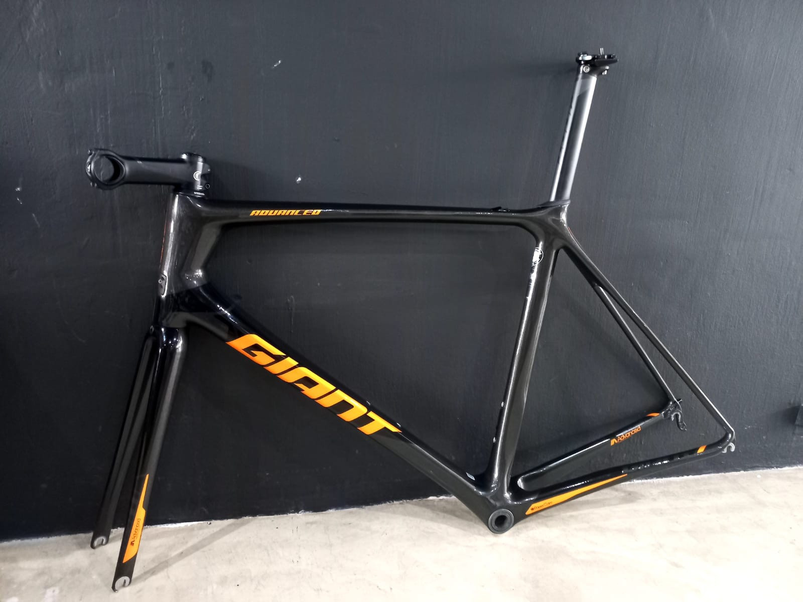 Giant TCR Advanced Frameset | Road Bike Frames | Bike Hub