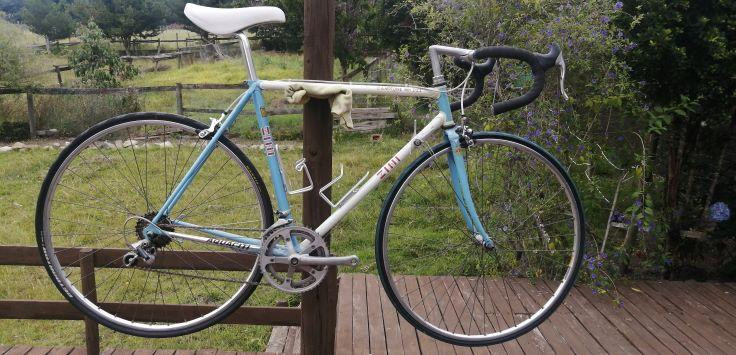 Zini Campione III | Vintage Bikes | Bike Hub