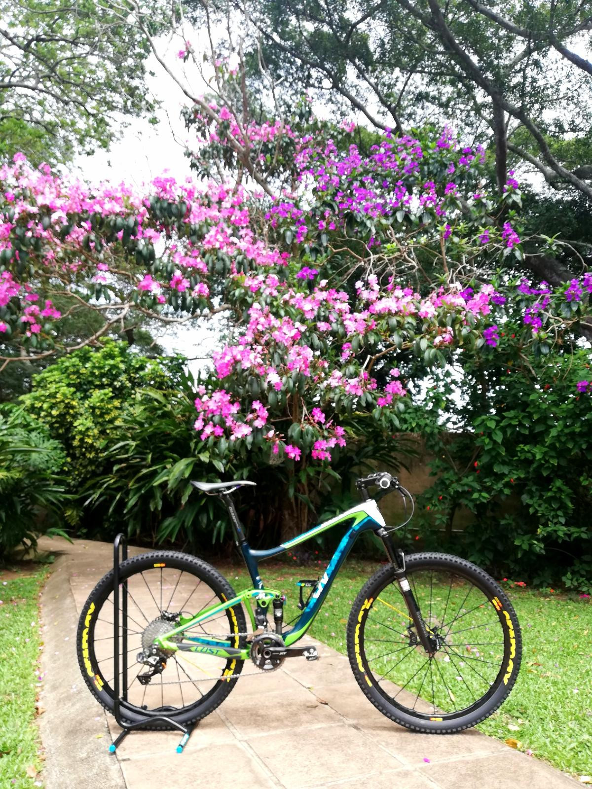 Full Carbon LIV, Ladies, This Beauty is a must!!! | Dual Suspension ...