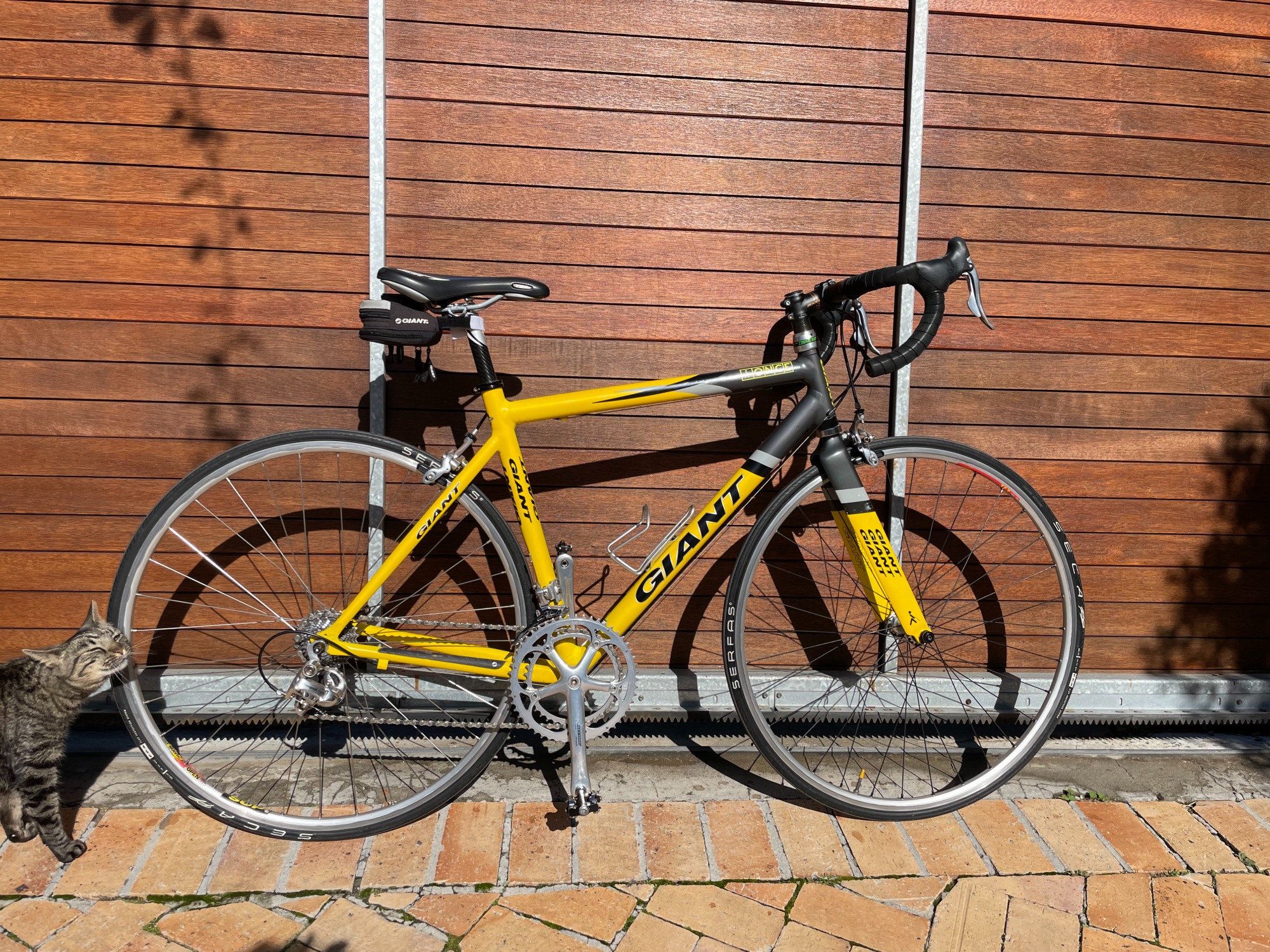 1999 Giant TCR TEAM | Bike Hub