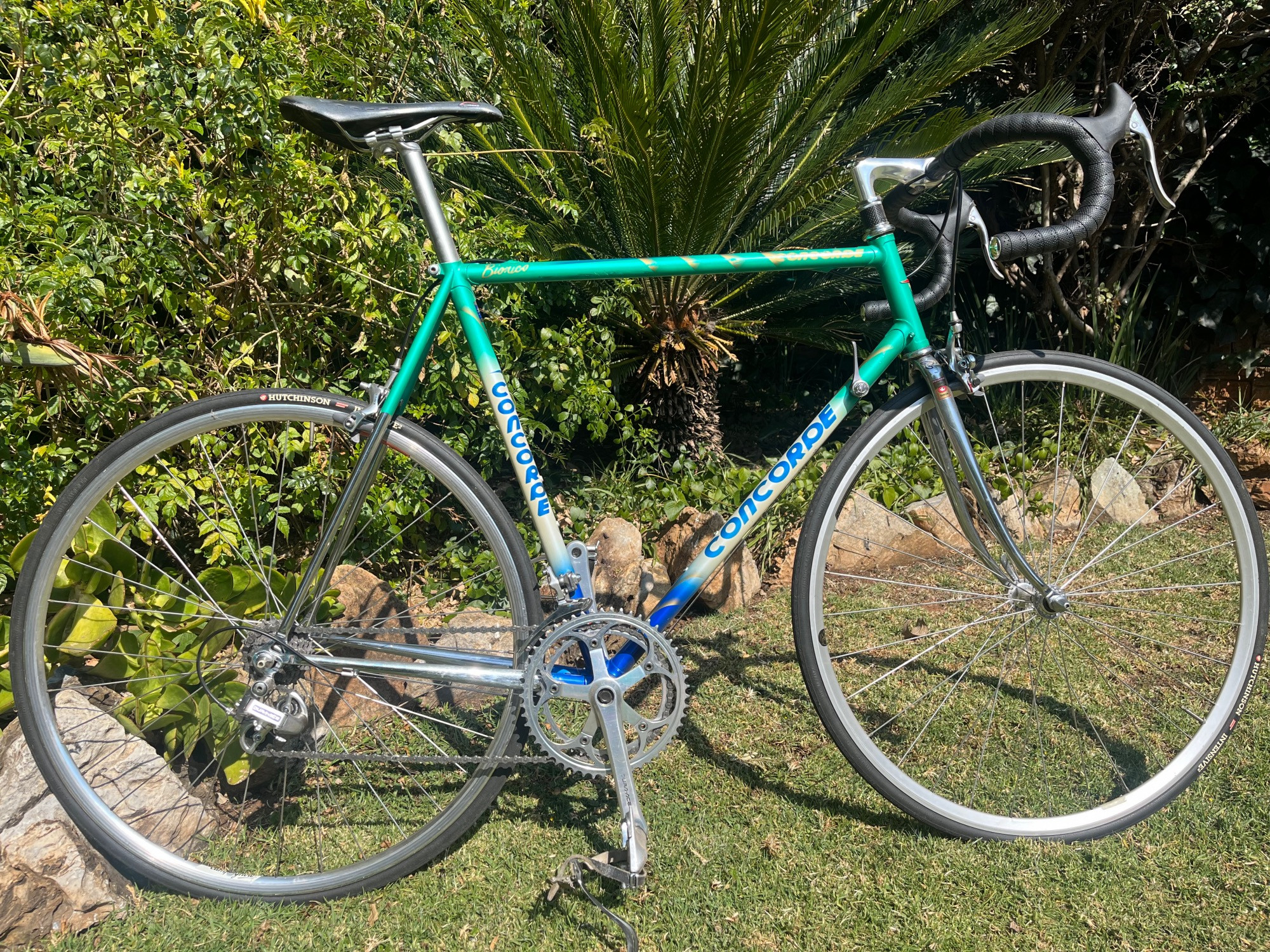 Concorde Bianico | Vintage Bikes | Bike Hub