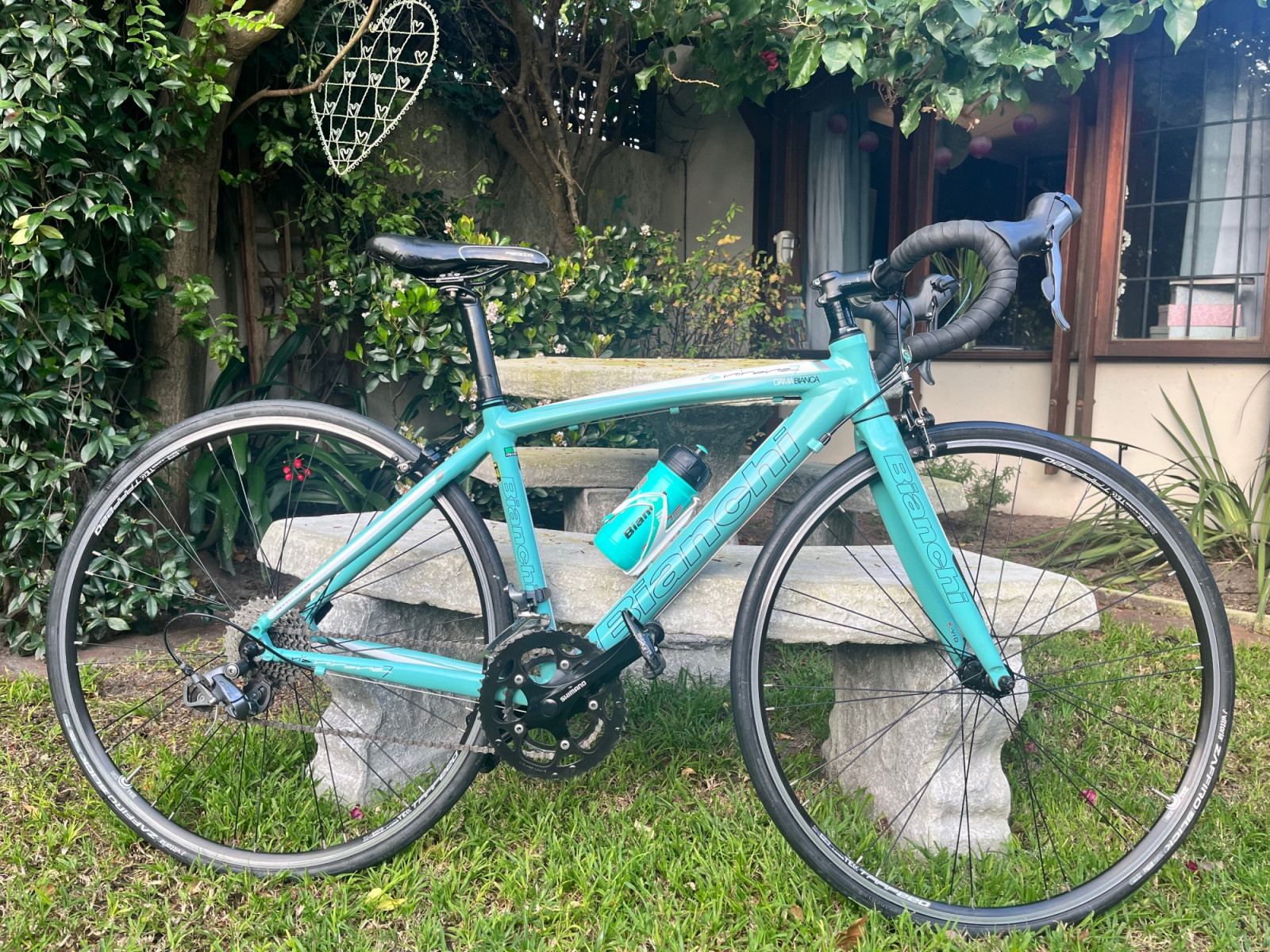 Bianchi: 2017 Dama Bianca Via Nirone 7 | Road Bikes | Bike Hub