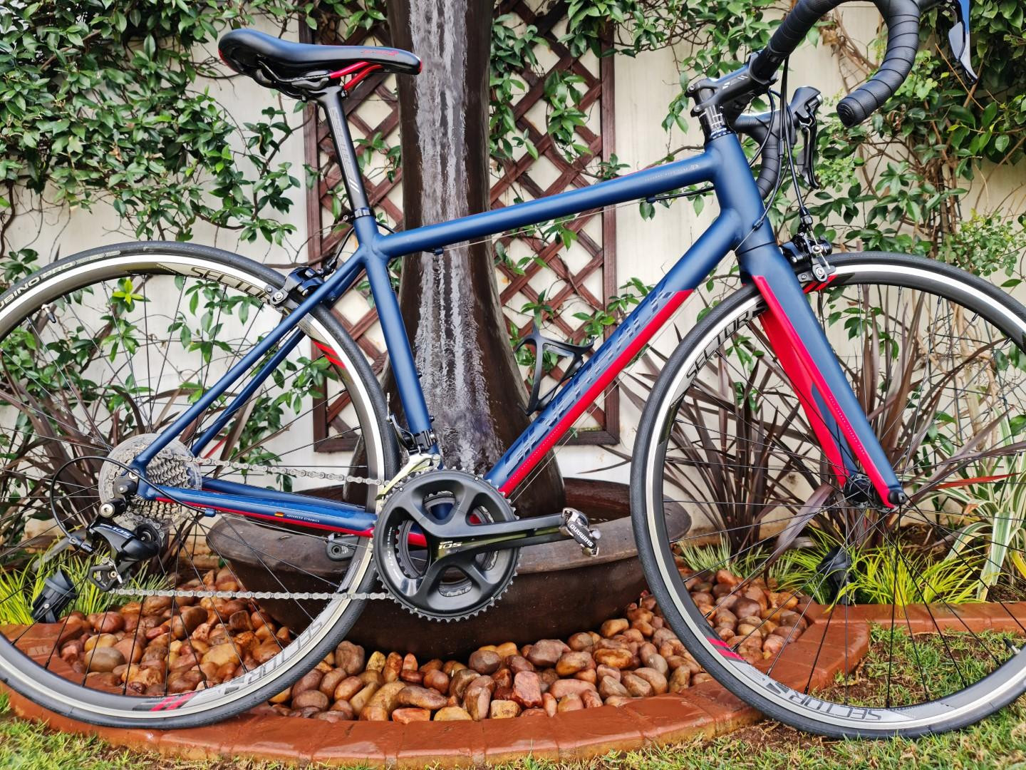 Silverback Salice Ladies Road Bike (Price Drop) | Bike Hub