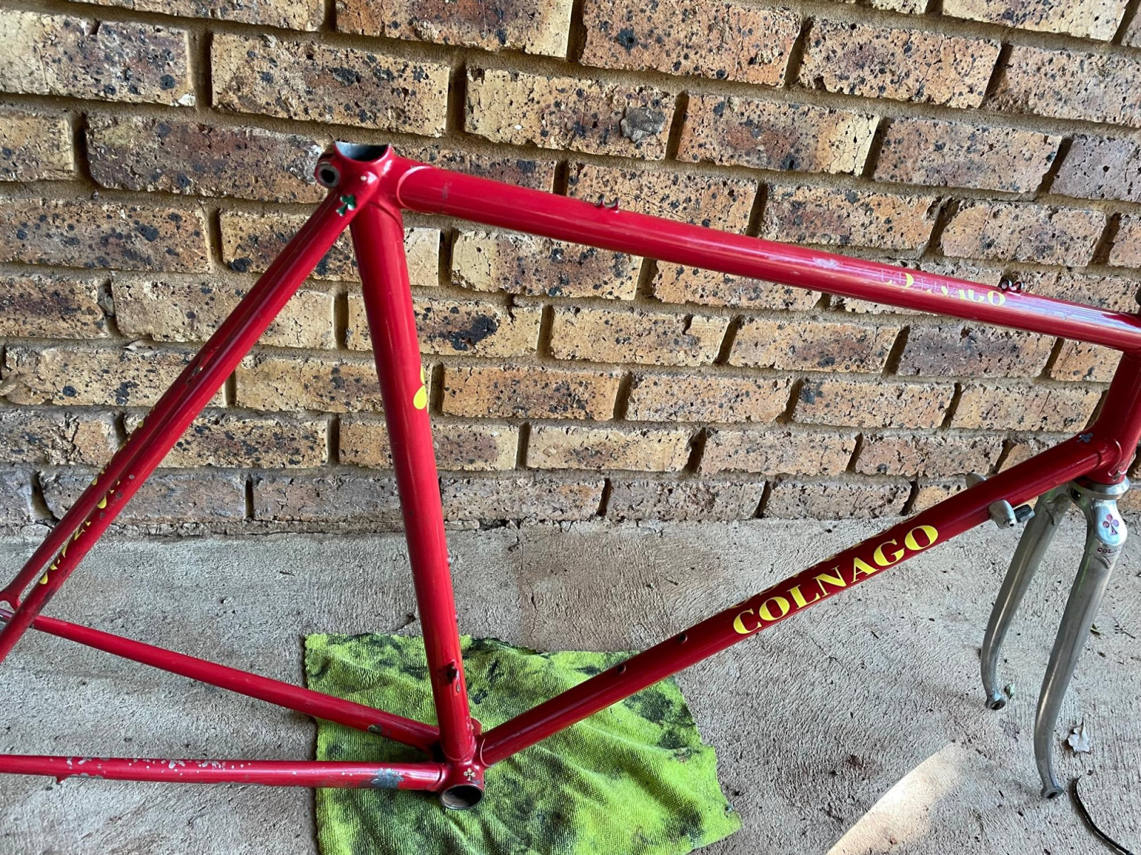 Colnago steel frame | Road Bike Frames | Bike Hub