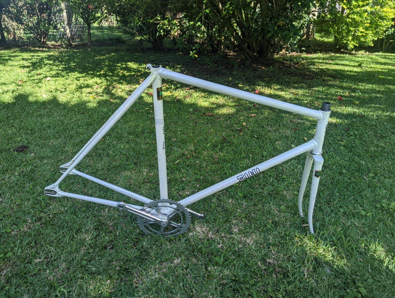 Zini Track Bike Frame | Bike Hub