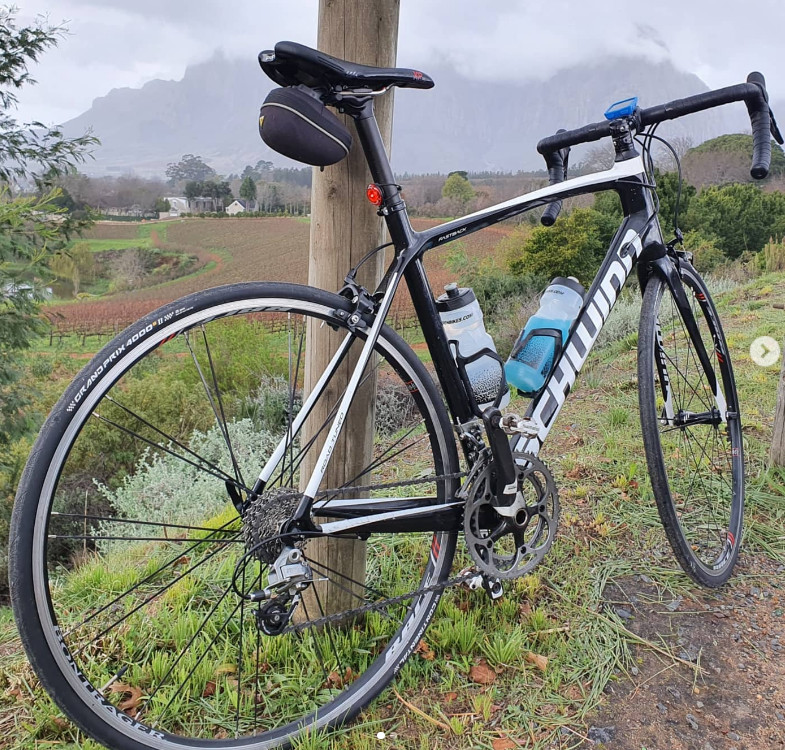 *Upgraded* Schwinn Fastback Carbon Road Bike | Road Bikes | Bike Hub