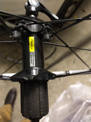 Freehubs Explained: How A Freehub Works, Body Types And Compatability ...