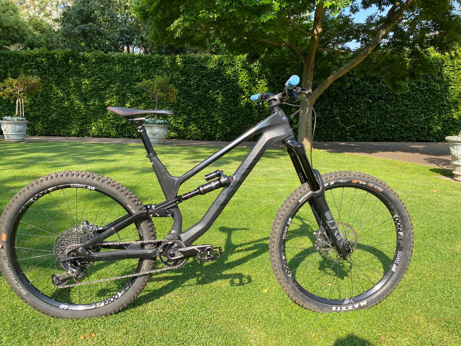 Canyon Torque CF 7 | Bike Hub