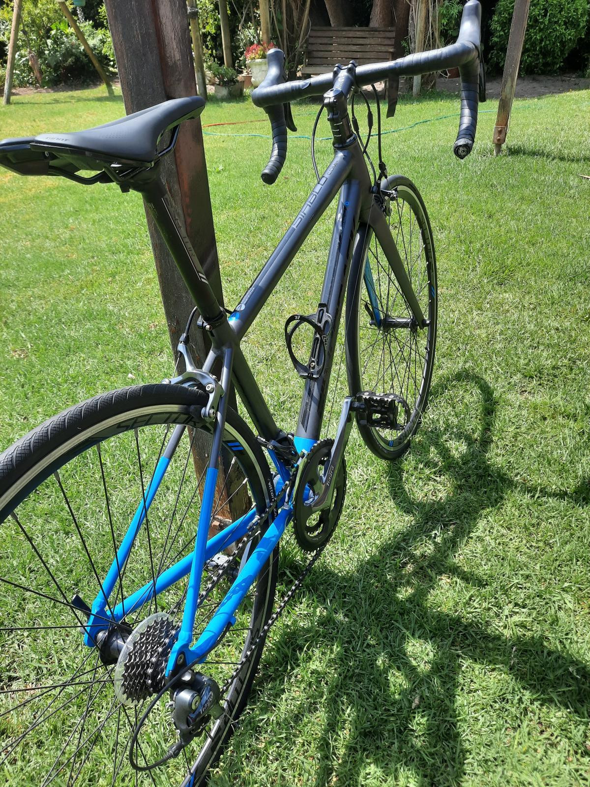 Silverback Siablo Comp | Road Bikes | Bike Hub