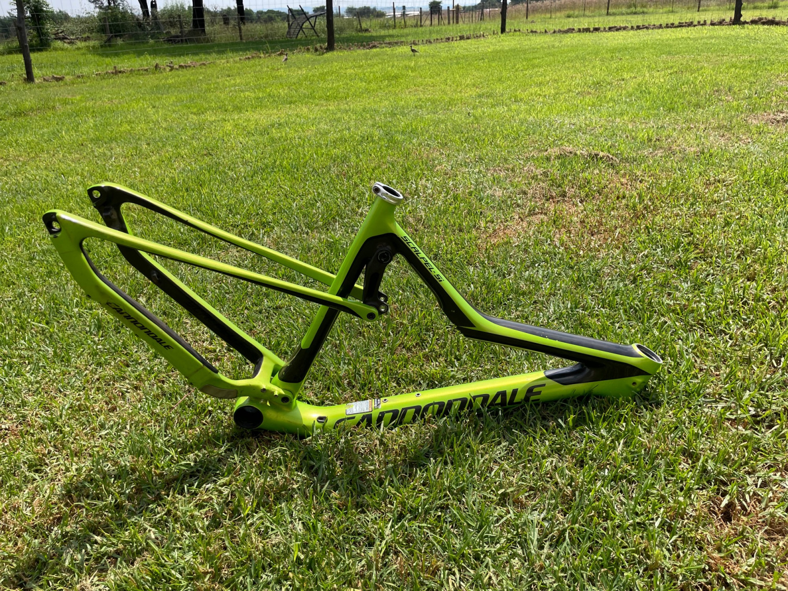 Cannondale scalpel si carbon large frame | Dual Suspension Mountain ...