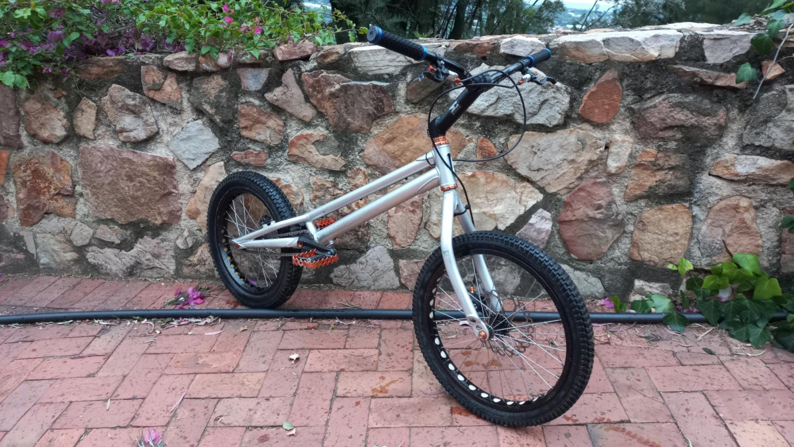 Echo 20" Trials bike | Dirt Jump Bikes | Bike Hub