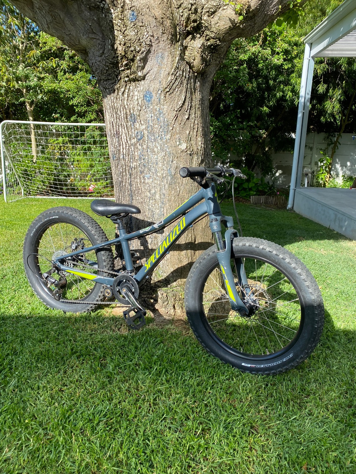 Specialized Rip Rock 20 MTB | Kids Bikes | Bike Hub