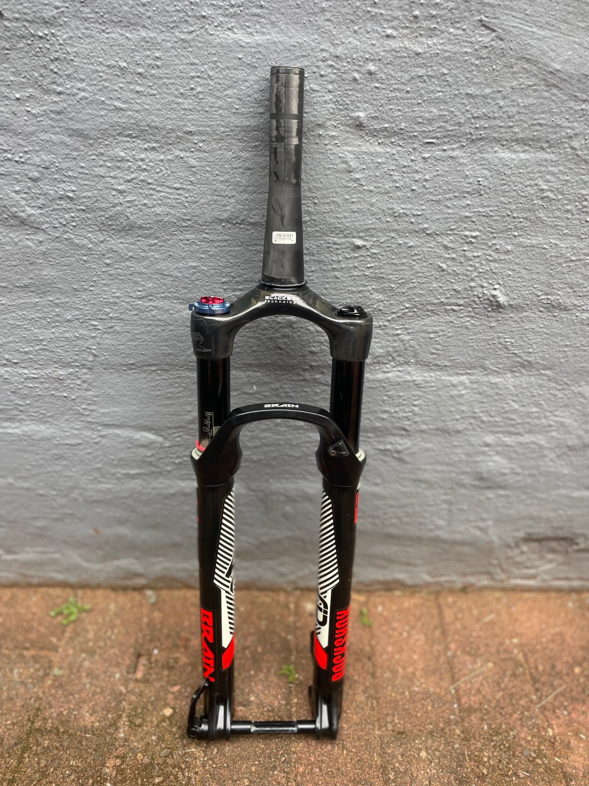 ROCKSHOX SID Brain | Bike Hub