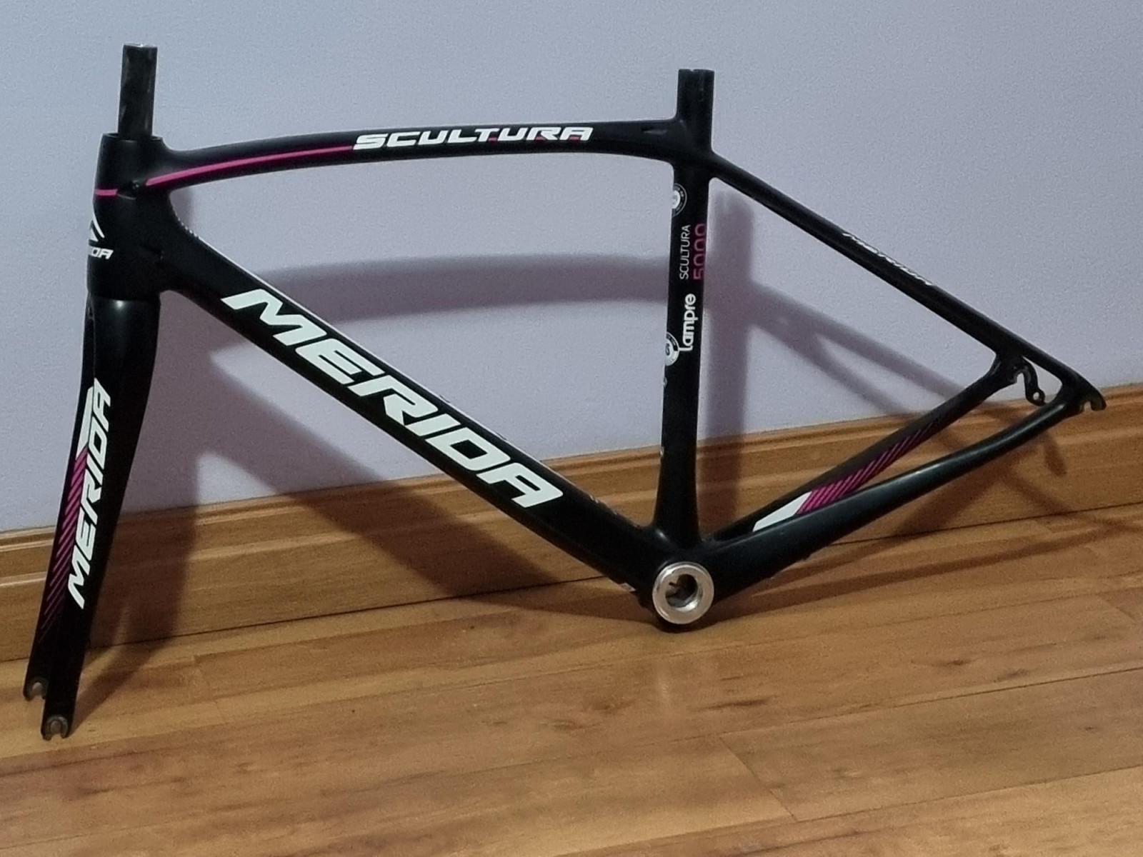 Merida Carbon | Bike Hub