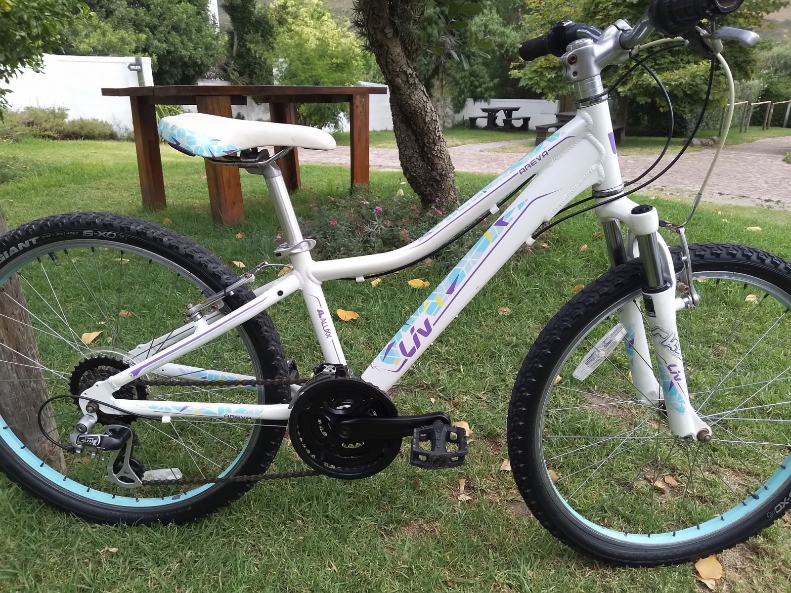 (Giant) LIV 24" Girls Bike | Bike Hub