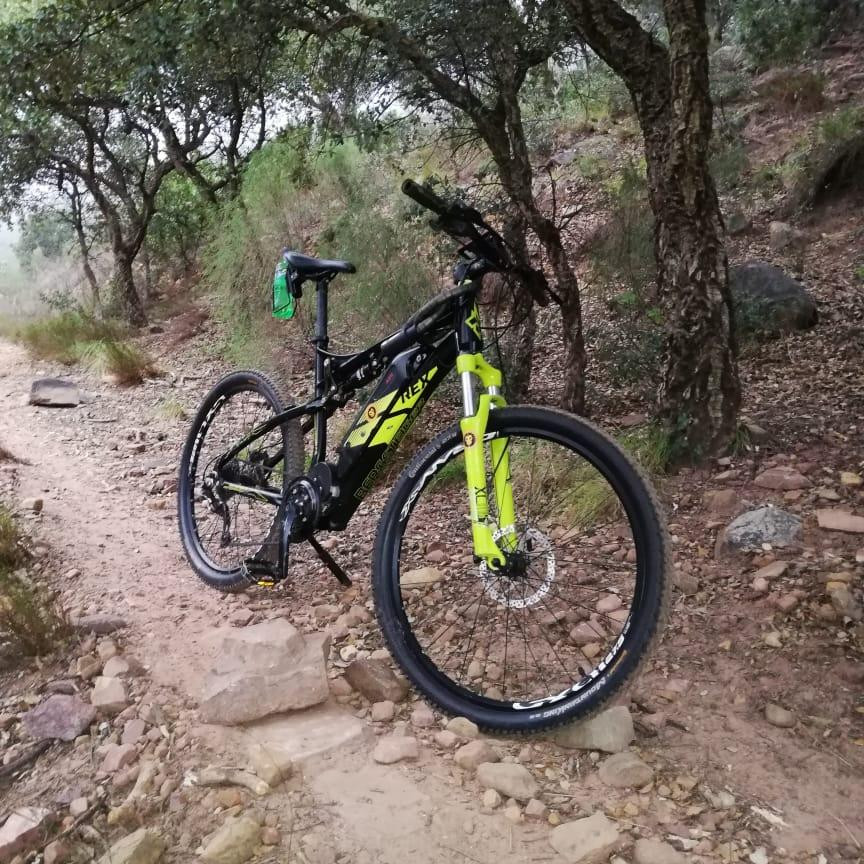 REX Sport 650B | Dual Suspension Mountain E-Bikes | Bike Hub