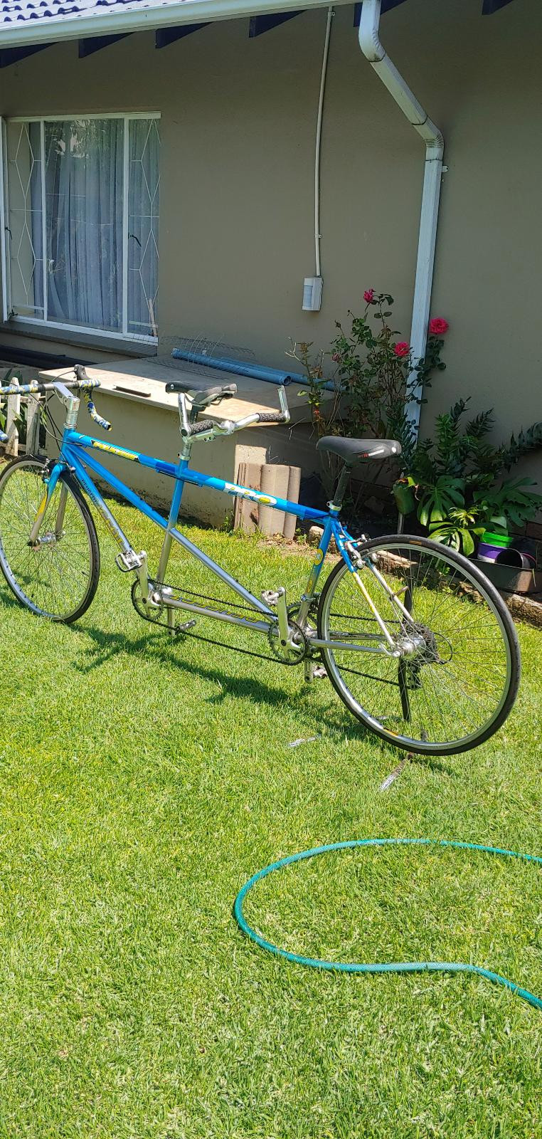 PEUGEOT PRO | Tandem Road Bikes | Bike Hub