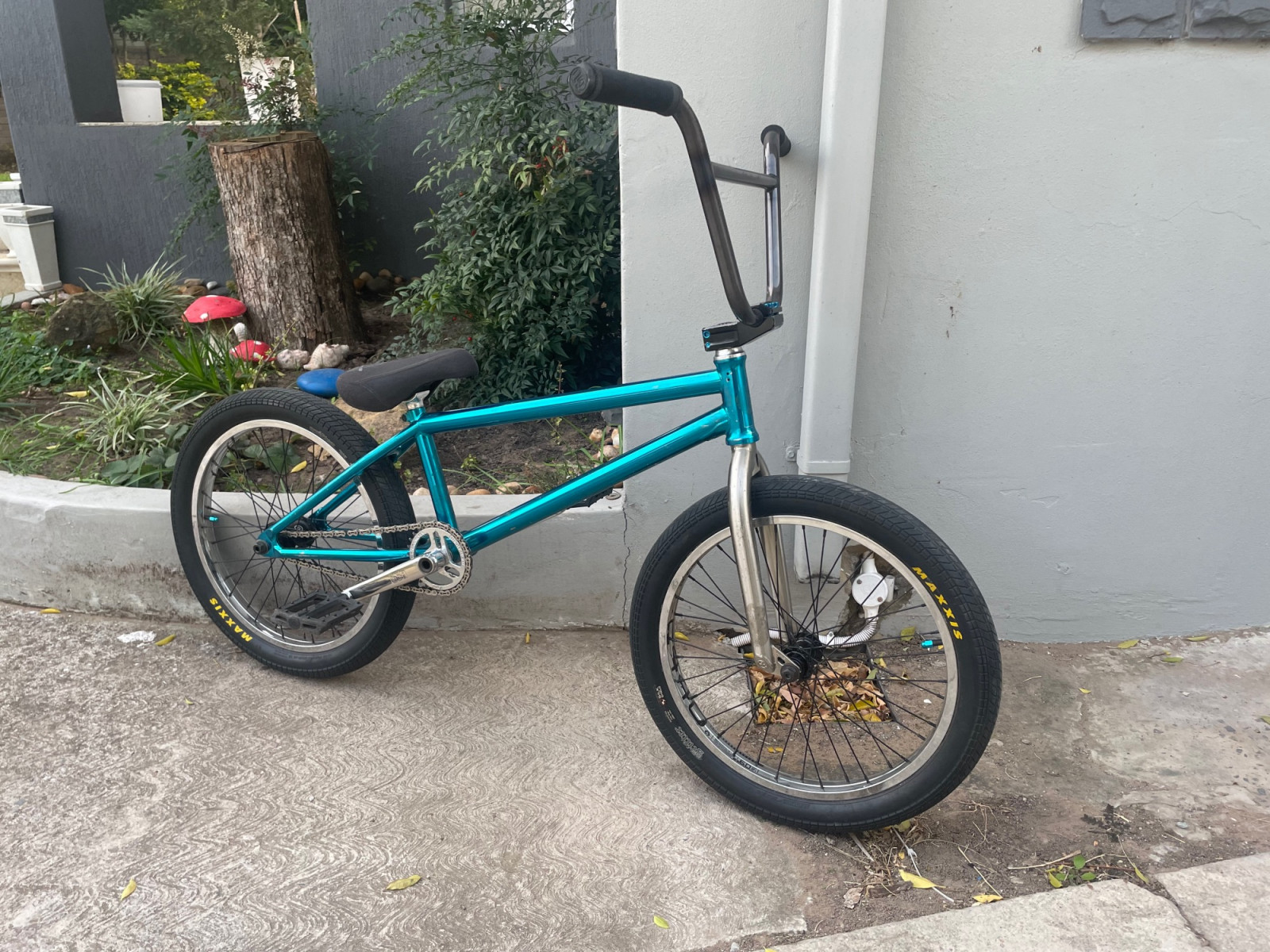 Bmx Zodiac Bike
