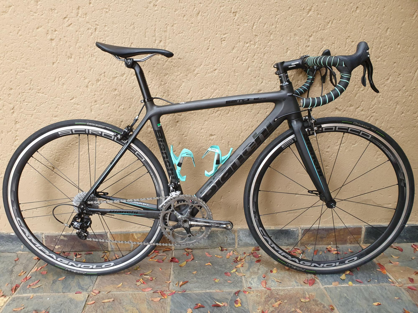 Bianchi Sempre Pro Carbon | Road Bikes | Bike Hub