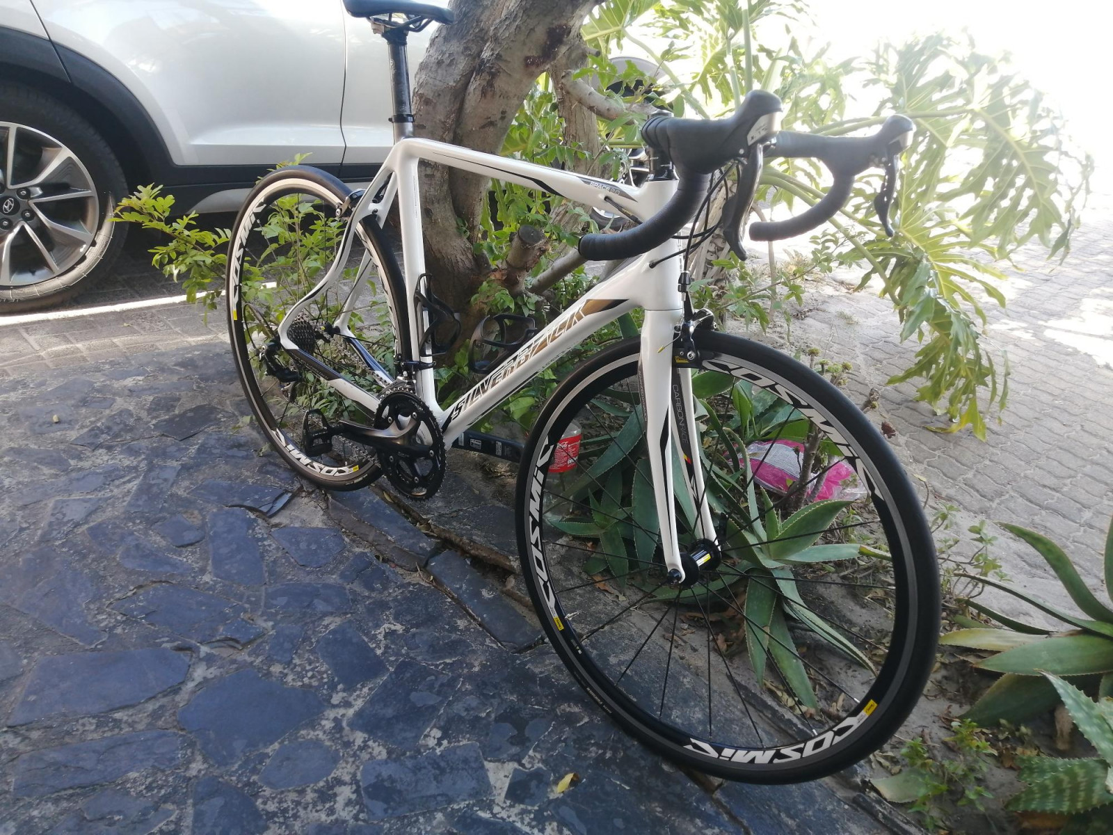 Silverback space 2.0 | Road Bikes | Bike Hub