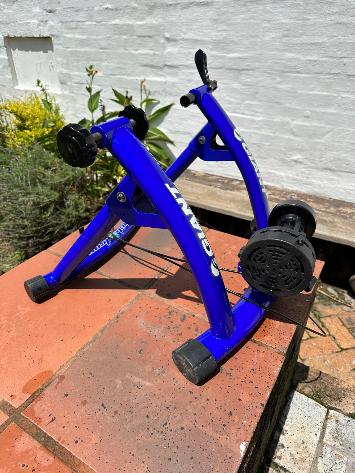 Giant Cyclotron Mag Indoor Trainer | Indoor Trainers & Accessories ...