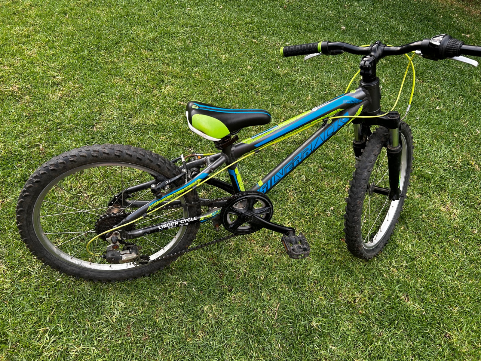20 Silverback | Kids Bikes | Bike Hub