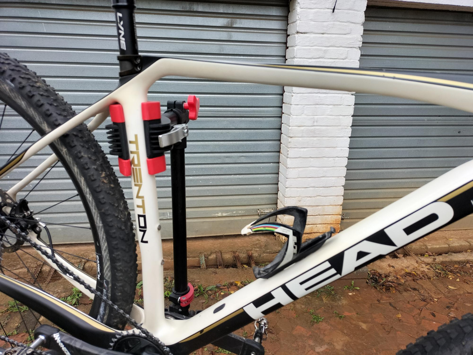 Head Trenton Full Carbon Hard Tail 29" | Hardtail Mountain Bikes | Bike Hub